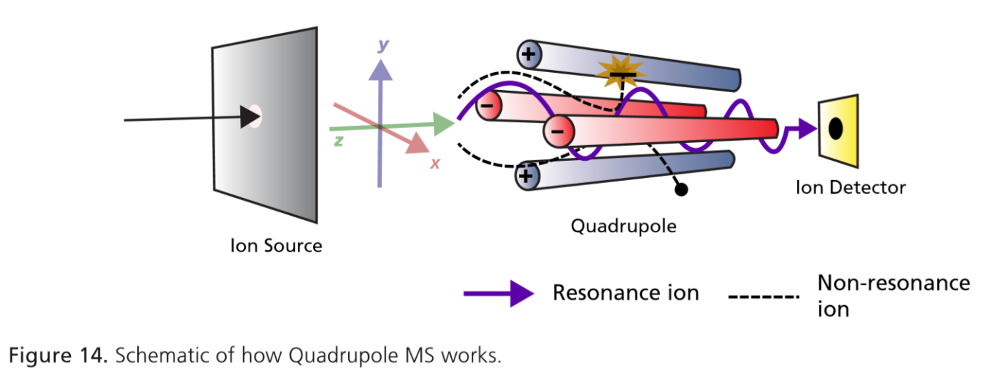 Theorie der Massenspektrometrie - Teil 1 : Shimadzu (Deutschland)