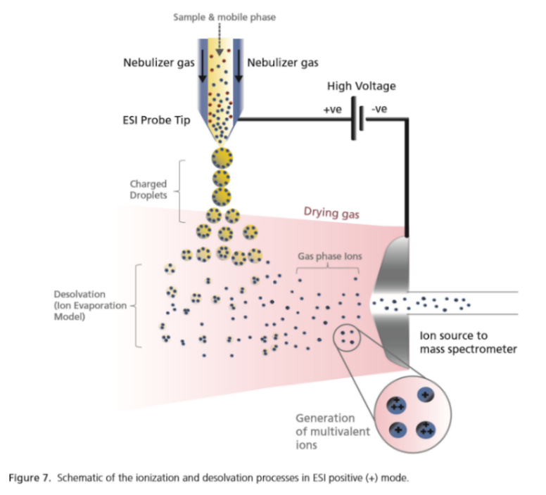 Theorie der Massenspektrometrie - Part 1 | SHIMADZU DEUTSCHLAND